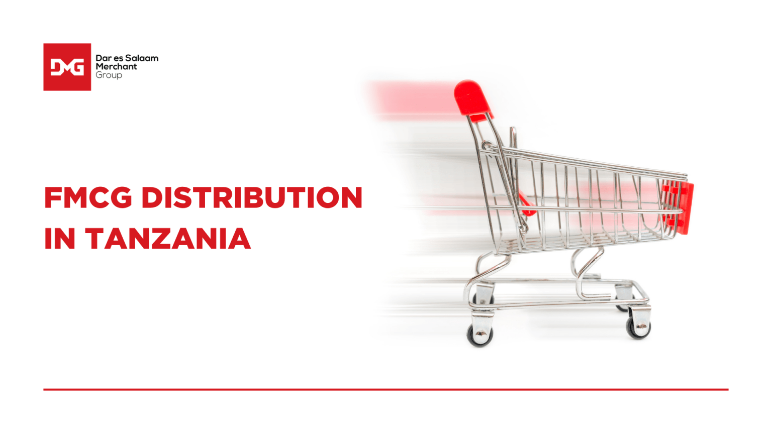 FMCG Distribution in Tanzania | Dar es Salaam Merchant Group